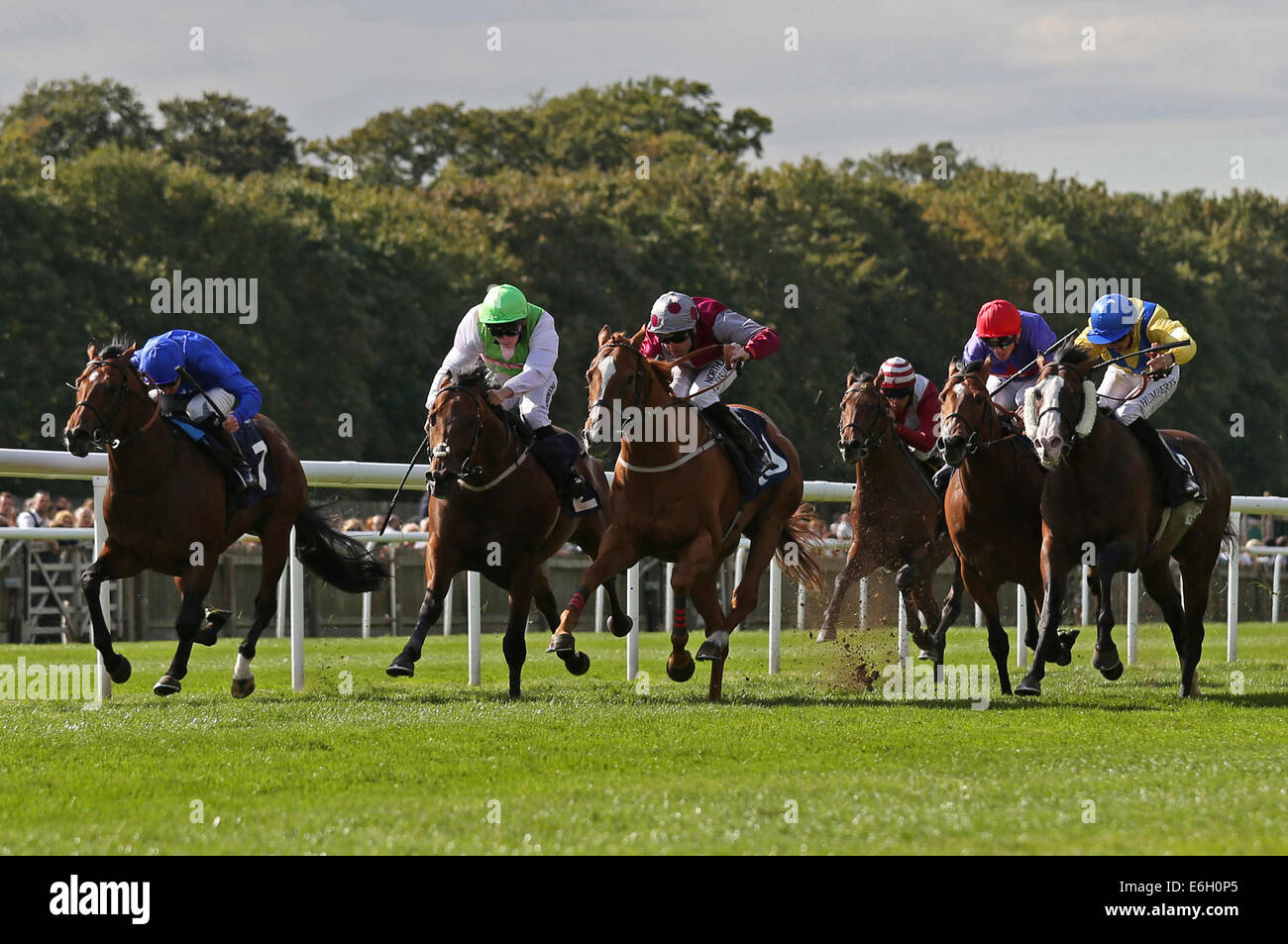 Newmarket july course hi-res stock photography and images - Alamy