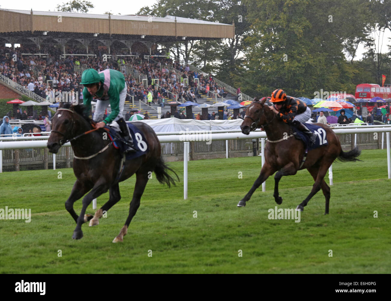 Newmarket july course hi-res stock photography and images - Alamy