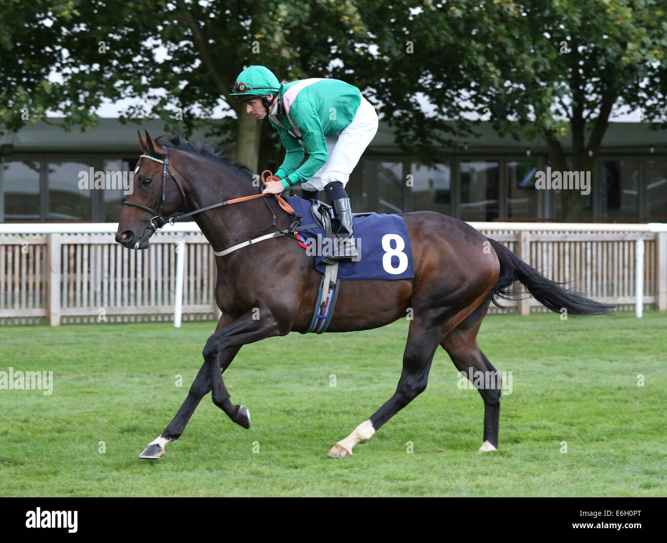 Jockey ted durcan going hi-res stock photography and images - Alamy