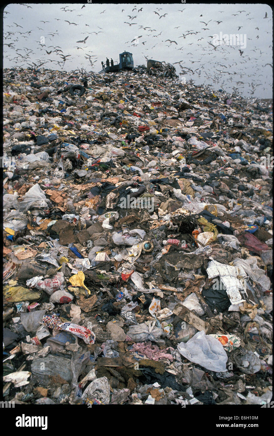 Apr 02, 1997 - Staten Island, New York, USA - Fresh Kills, NY Staten ...