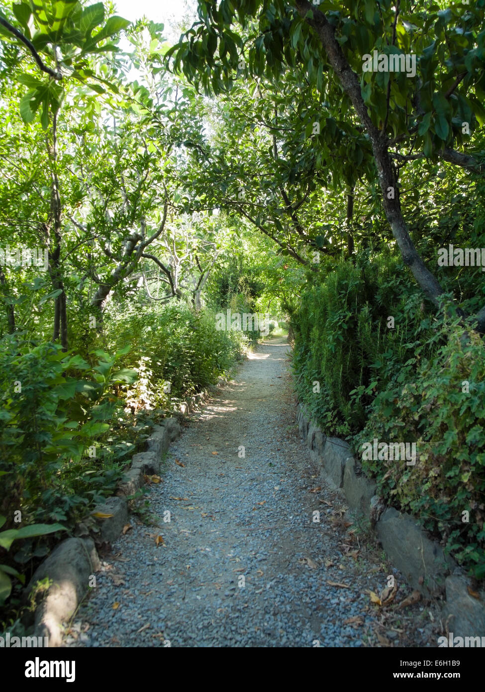 Path through orchard hi-res stock photography and images - Alamy