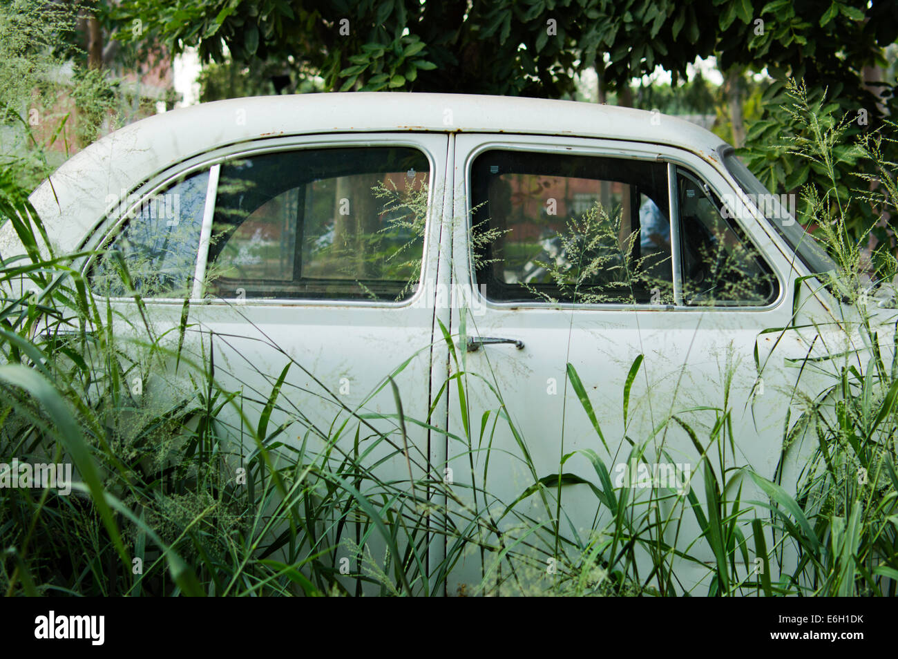 Ambassador car hi-res stock photography and images - Alamy