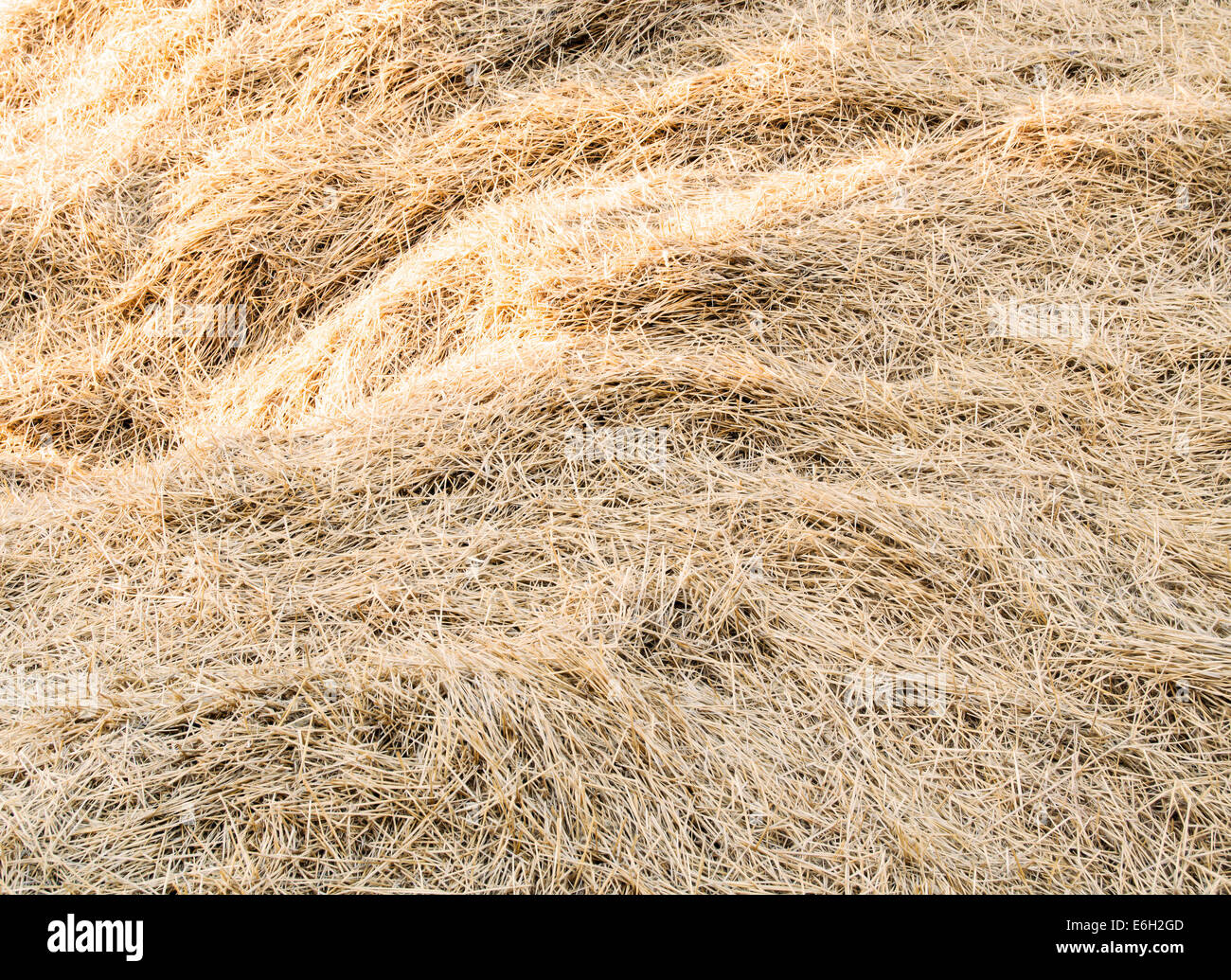 Background dry hay Stock Photo - Alamy