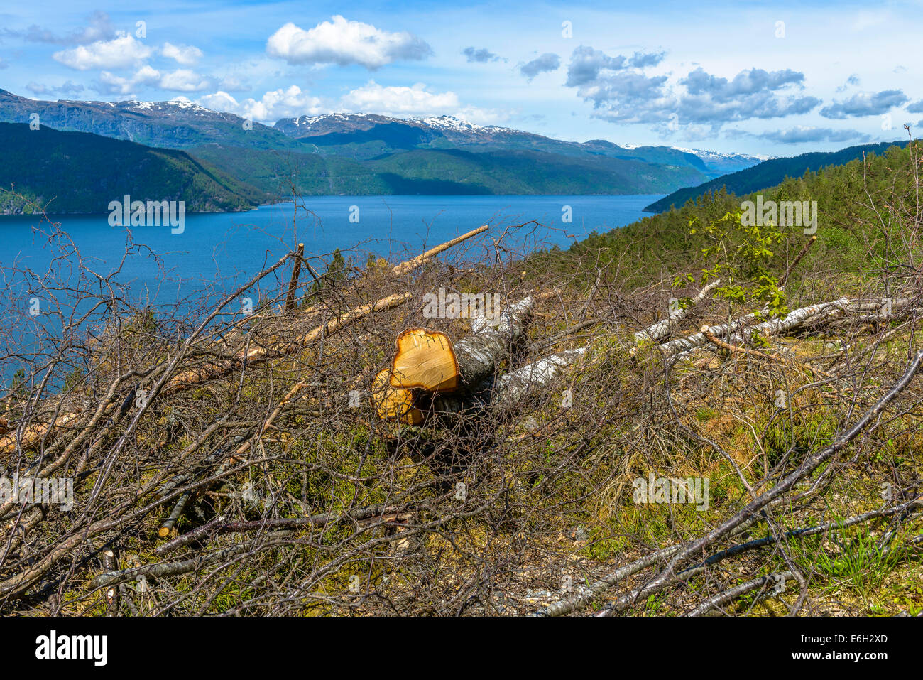 beautiful Norway scenery in a sunny spring day Stock Photo - Alamy