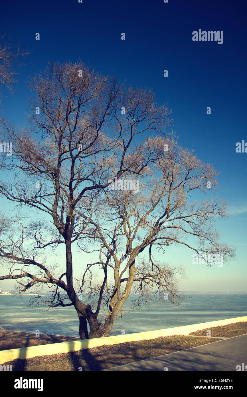 frozen river in spring Stock Photo - Alamy