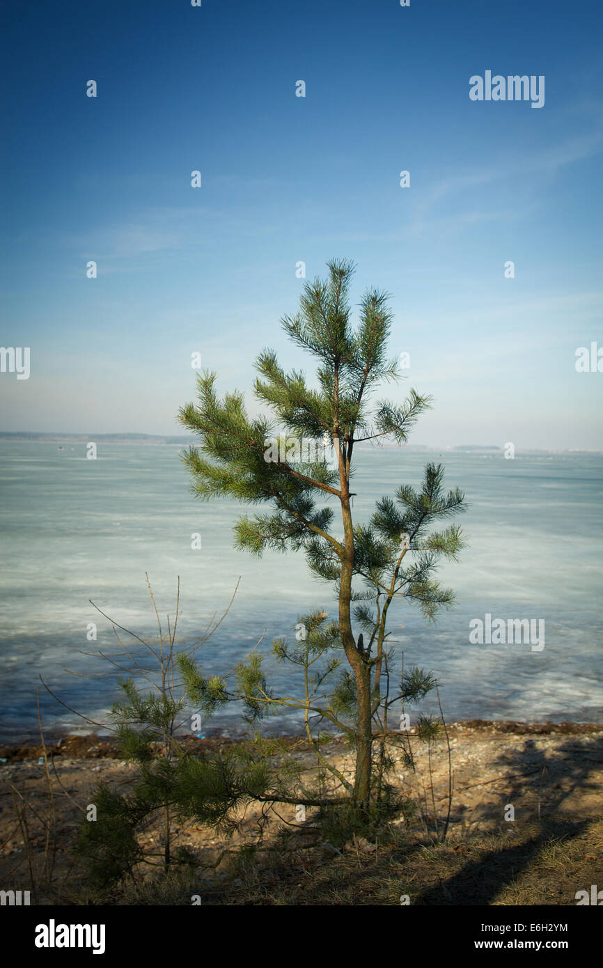 frozen river in spring Stock Photo - Alamy