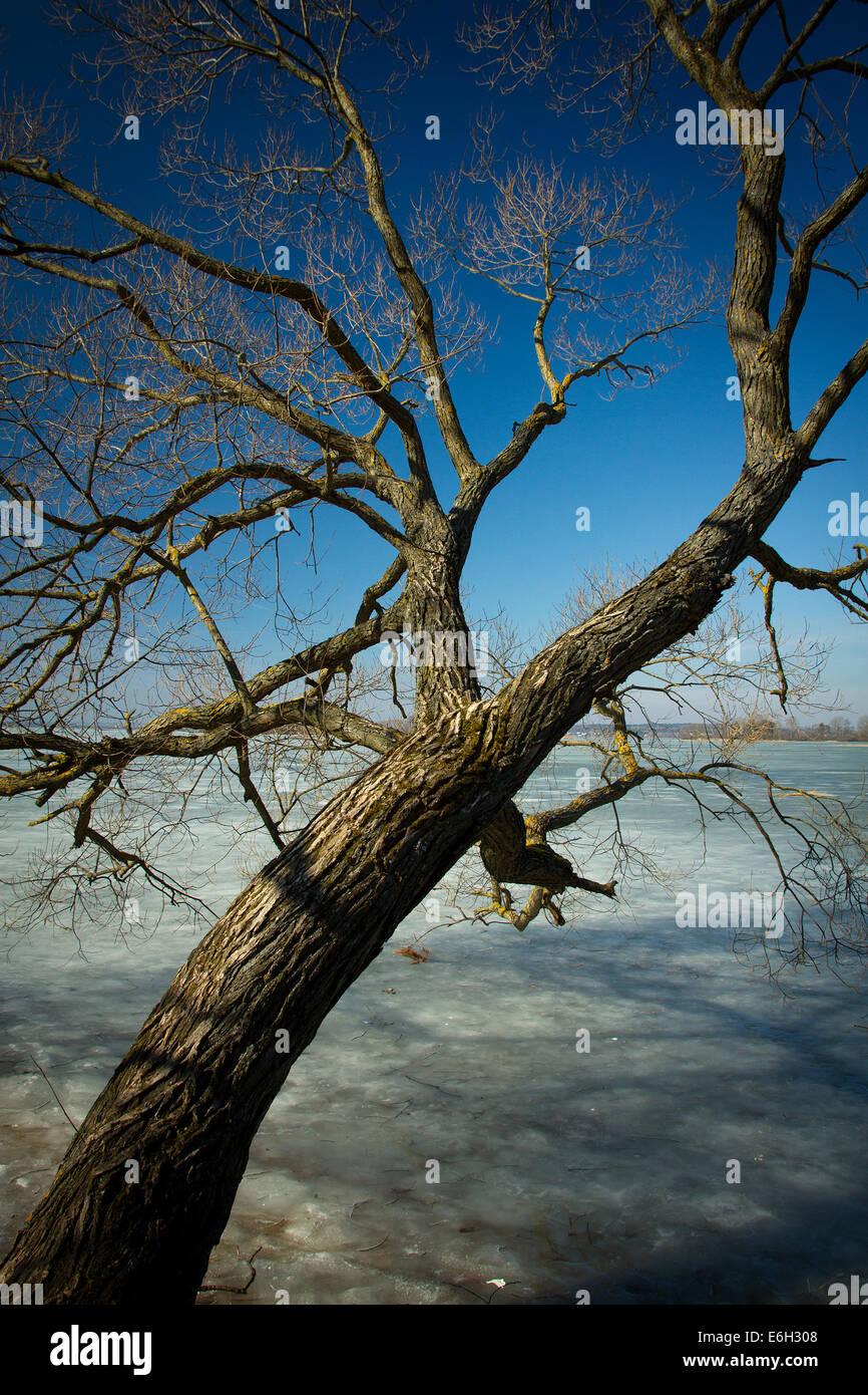 frozen river in spring Stock Photo - Alamy