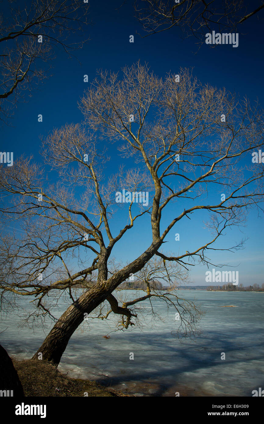 frozen river in spring Stock Photo - Alamy