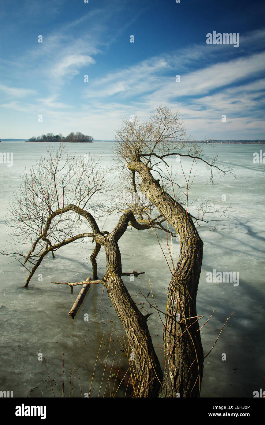 frozen river in spring Stock Photo - Alamy