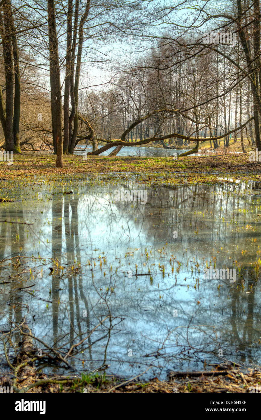 spring landscape. HDR photo Stock Photo - Alamy