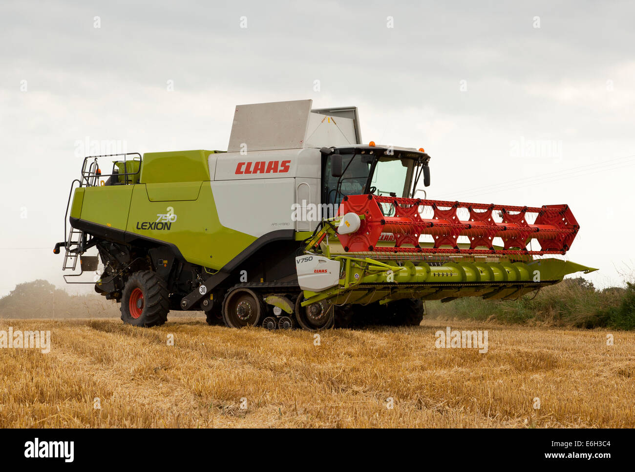 Cutting corn field hi-res stock photography and images - Alamy