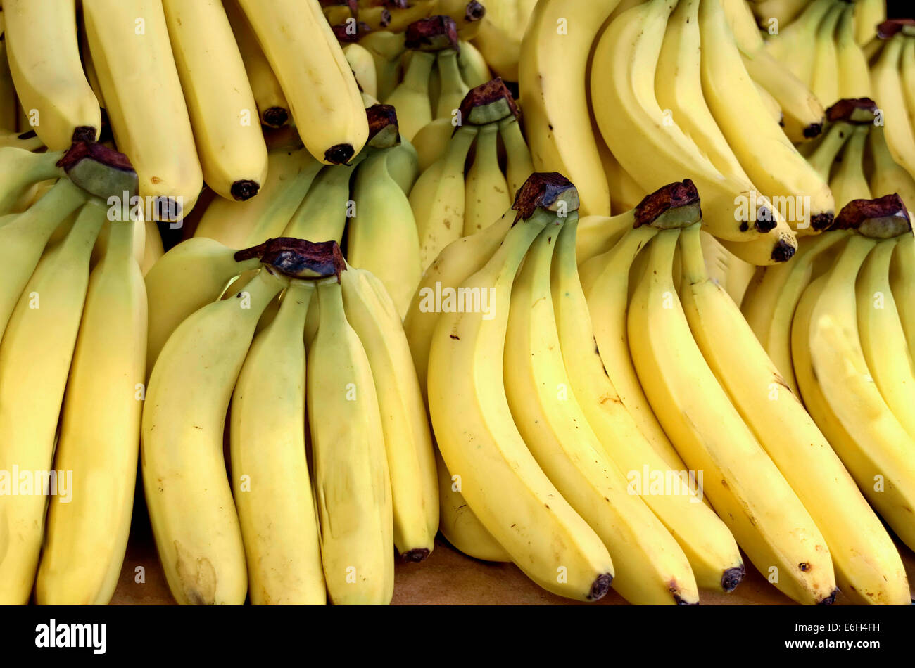 Fresh organic healthy yellow bananas on a market stall Stock Photo - Alamy