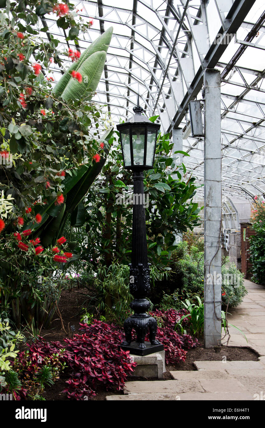 Inside the David Welch Winter Gardens within Duthie Park in Aberdeen ...