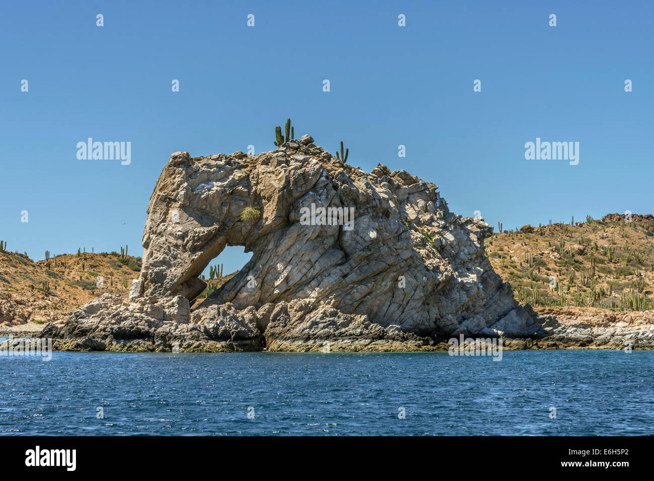 Catalina gulf hi-res stock photography and images - Alamy