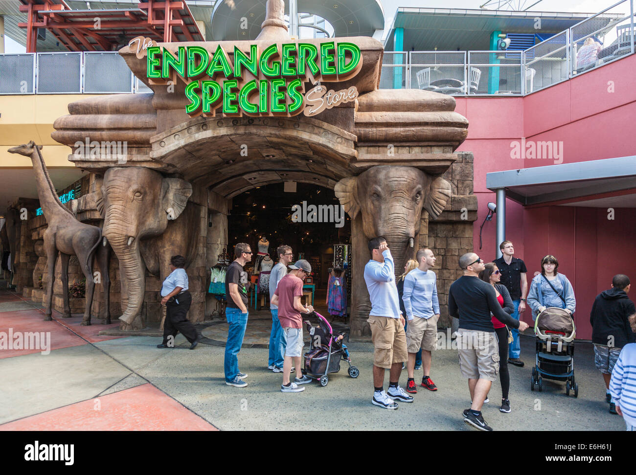 Entrance to Endangered Species store at City Walk in Universal Studios ...