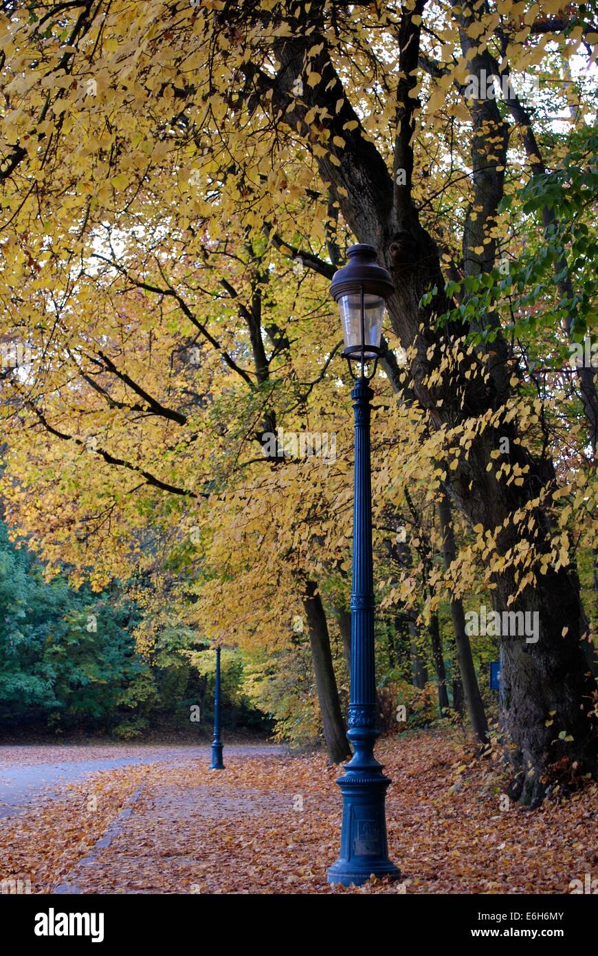 Autumn Trees in Brussels, Belgium in Parc de Woluwe Stock Photo - Alamy