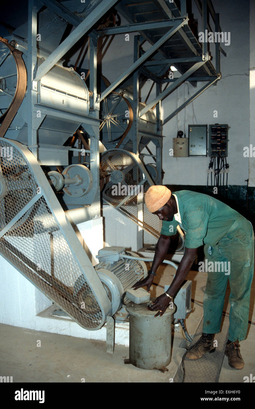 The interior of a groundnut processing factory in Gambia, West Africa ...
