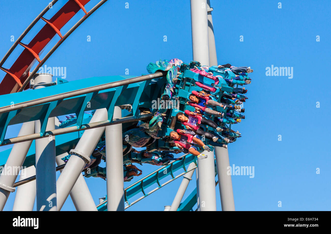 Dragon roller coaster ride hi-res stock photography and images - Alamy