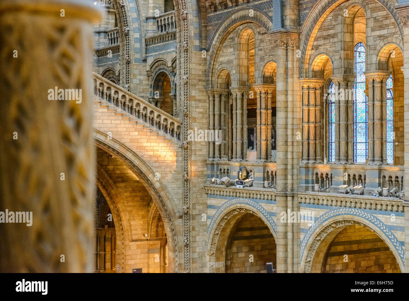 Natural history museum interior hi-res stock photography and images - Alamy