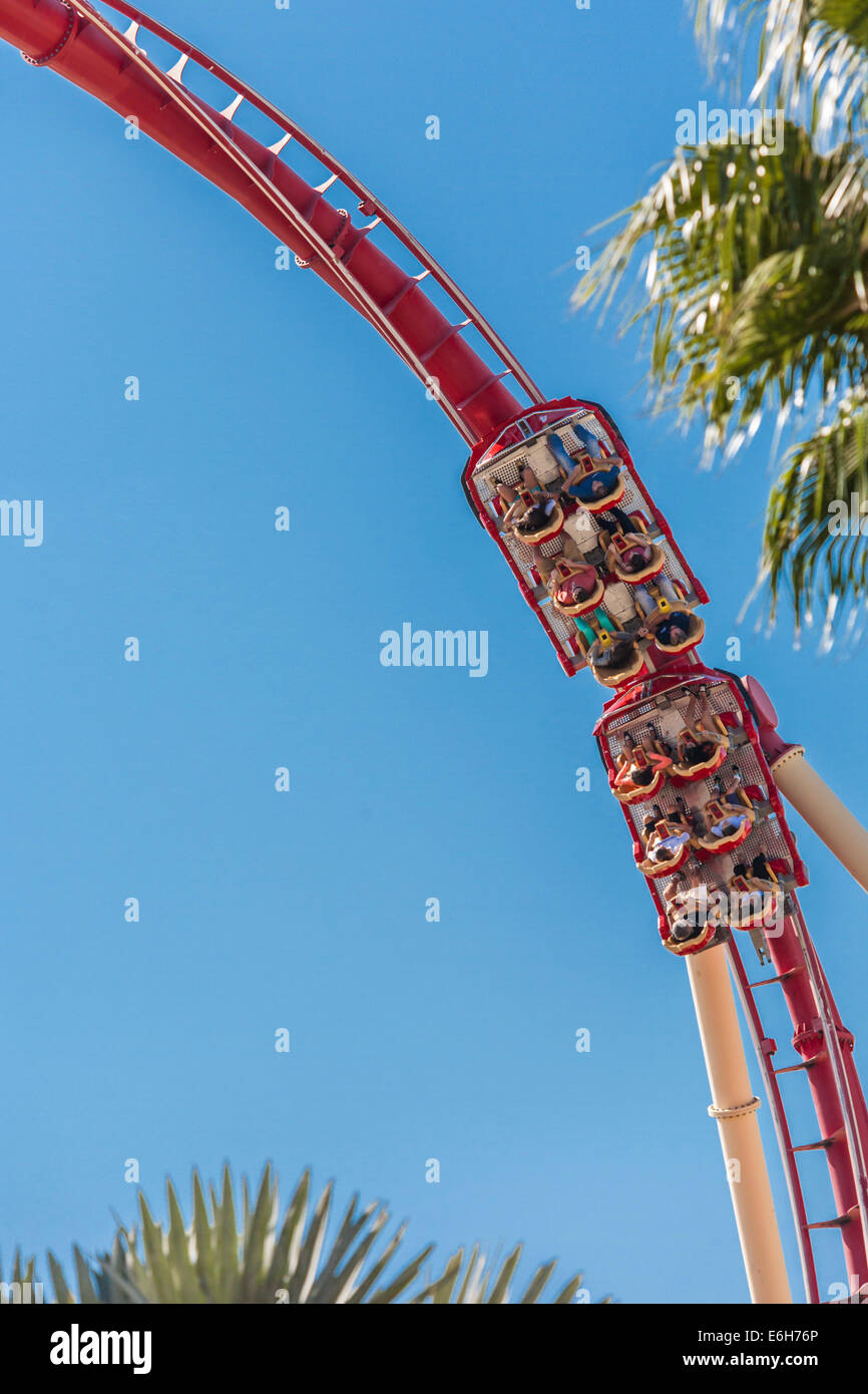 Rip rockit ride hi-res stock photography and images - Alamy
