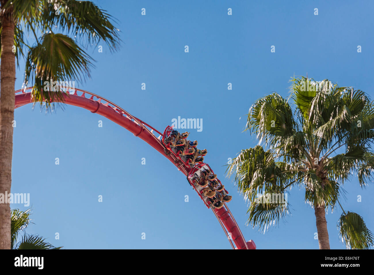 Rip rockit ride hi-res stock photography and images - Alamy