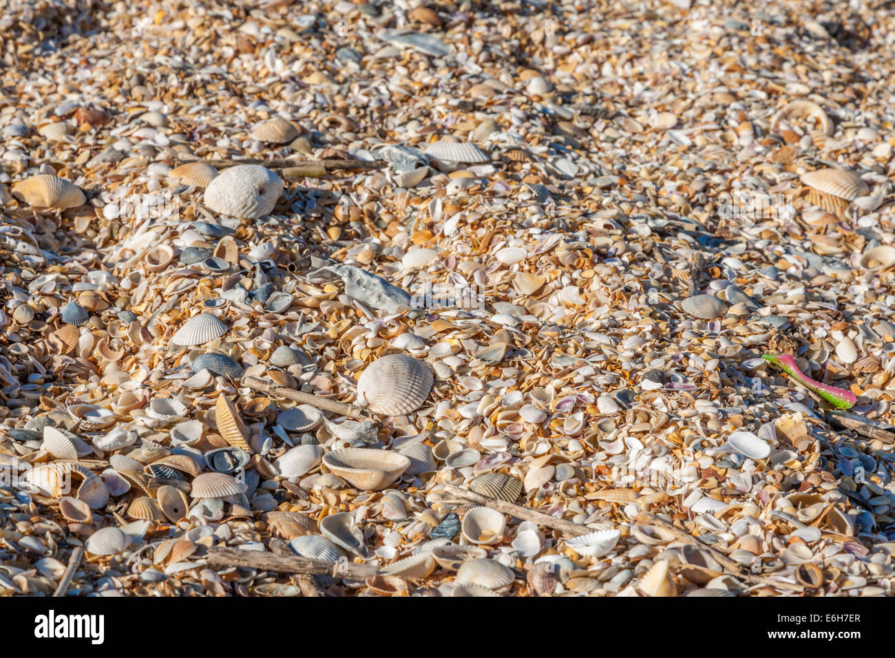 Augustine on the beach hi-res stock photography and images - Alamy