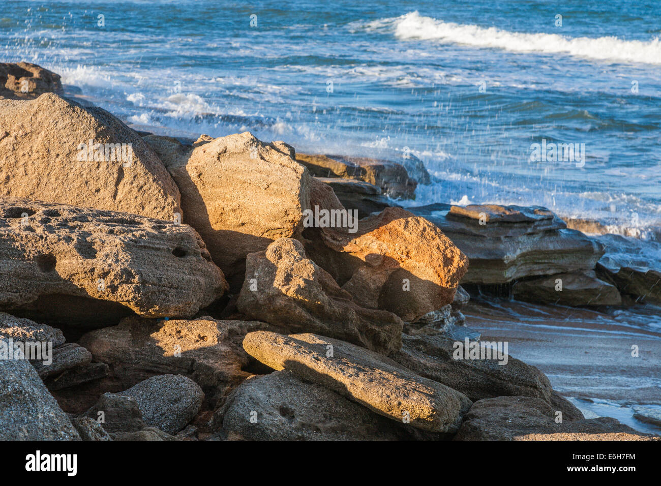 Coquina rock formations along coast of Atlantic Ocean at Washington ...