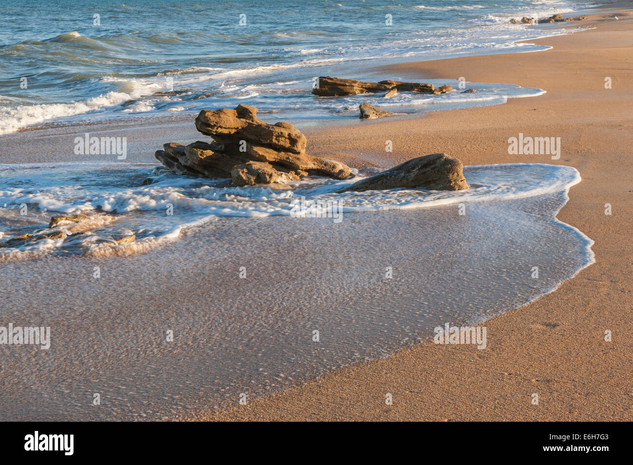 Coquina rock formations along coast of Atlantic Ocean at Washington ...
