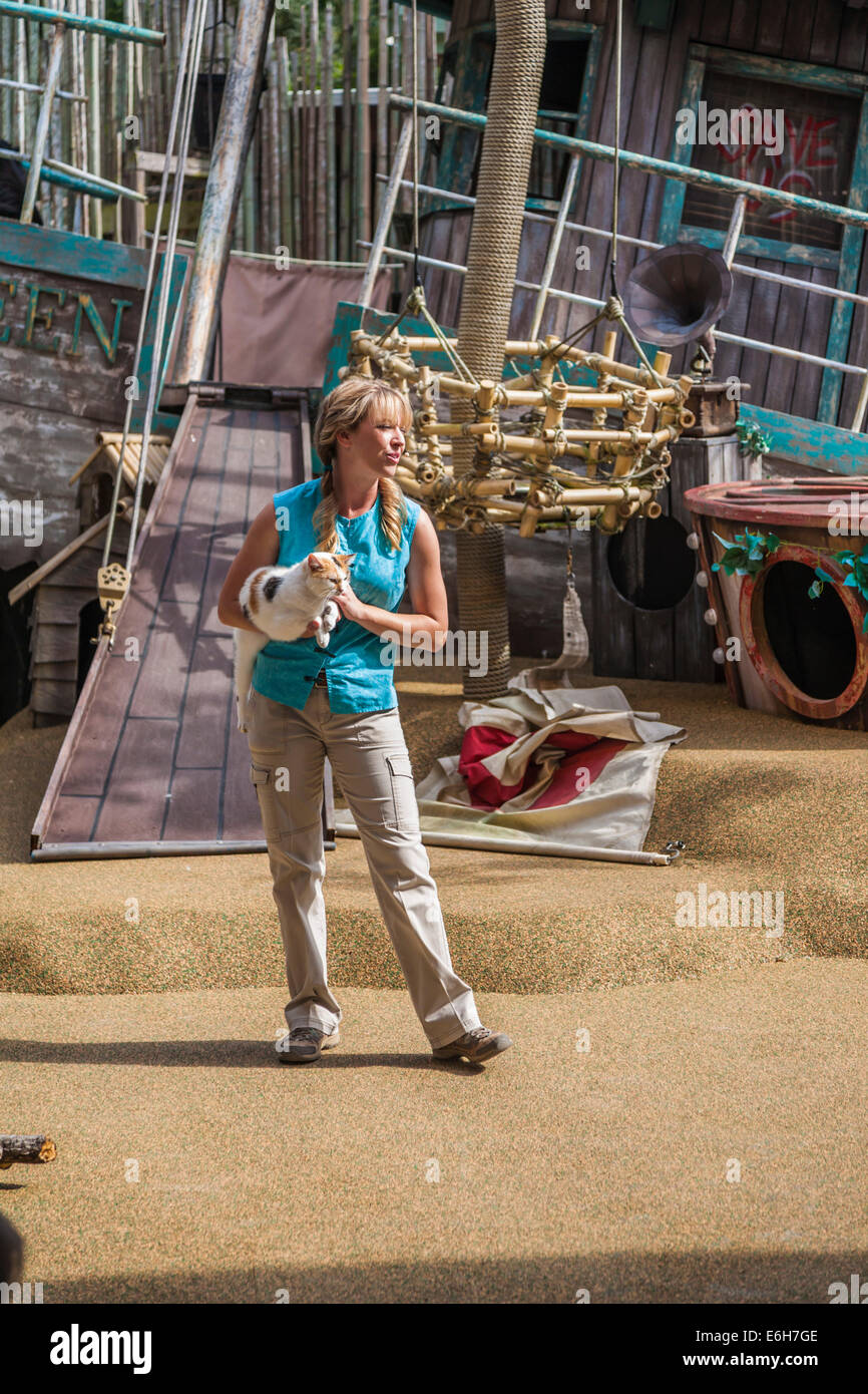 Animal trainer with trained cat during show at Busch Gardens in Tampa ...