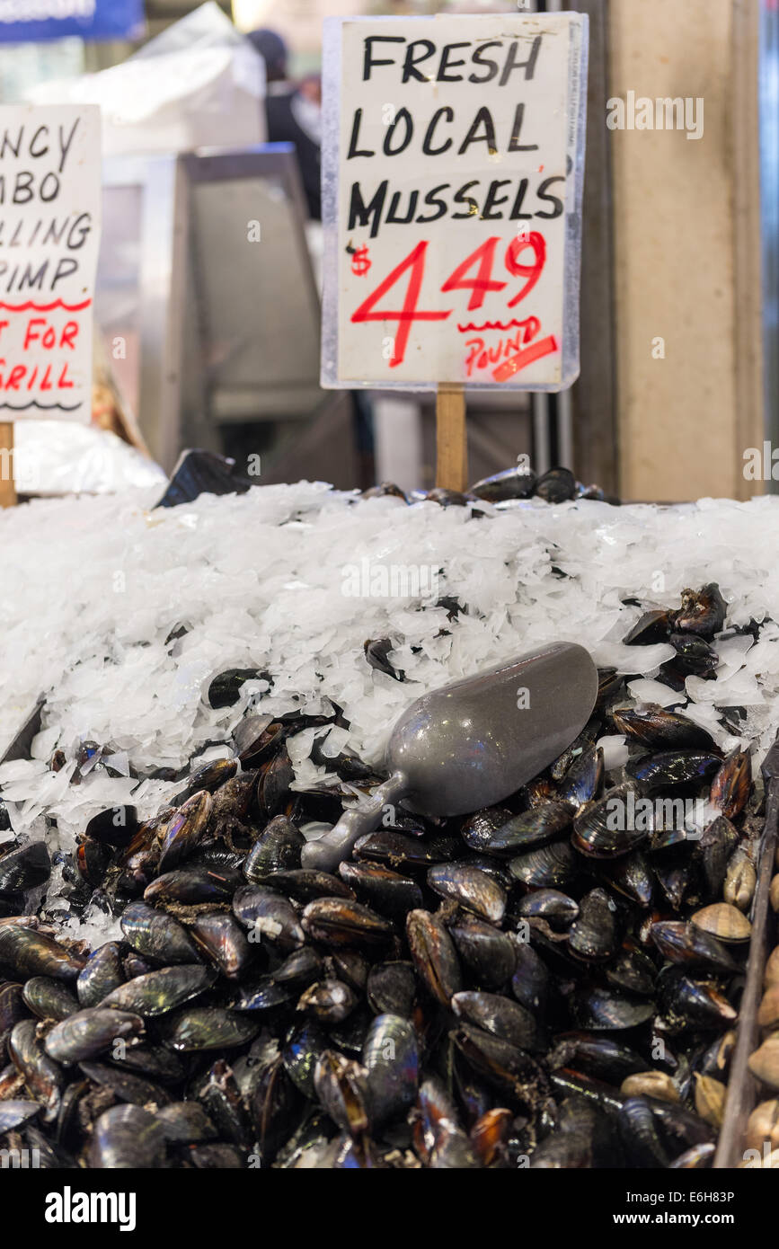 Fresh mussels on display at Pike Place Market, Seattle Stock Photo - Alamy