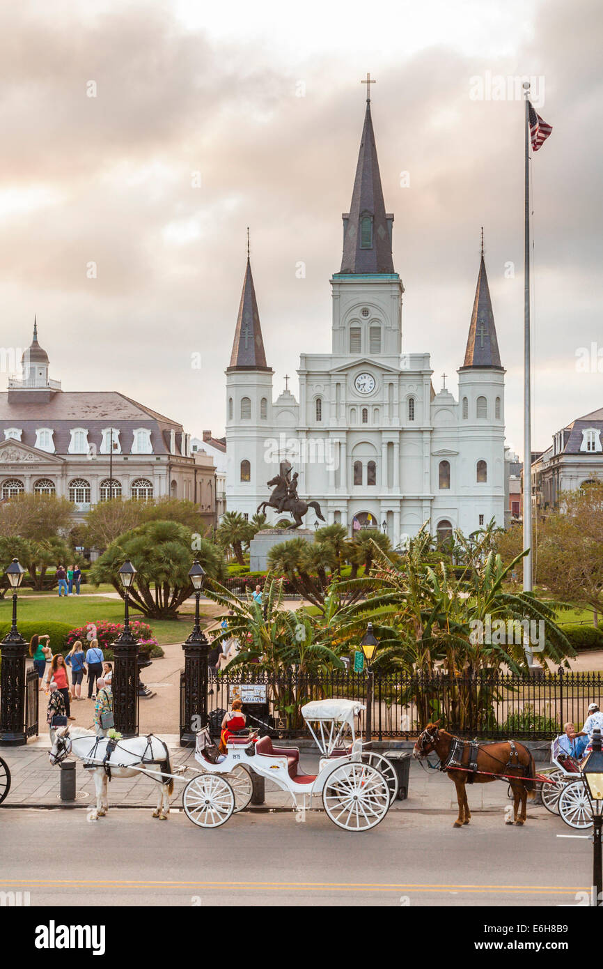 Horses and carriages lined up on Decatur Street in front of Jackson ...