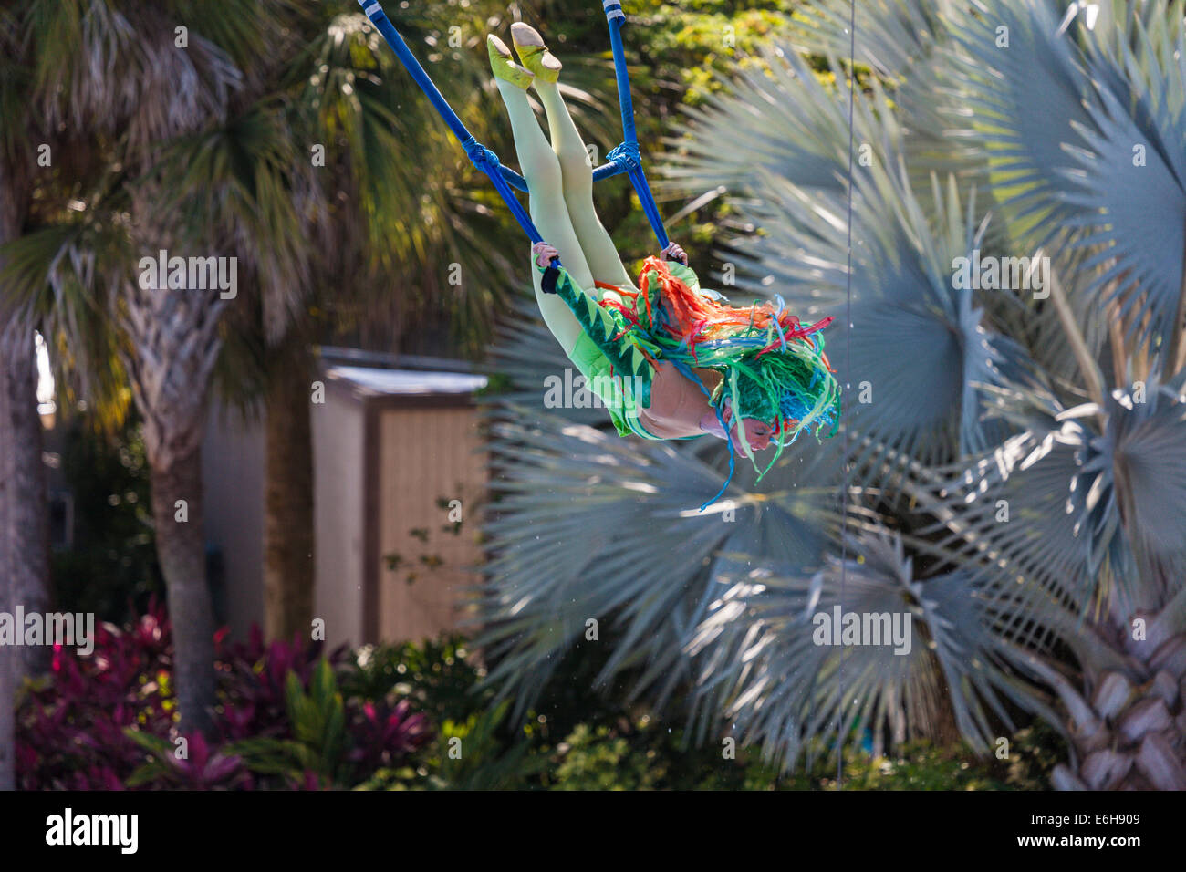 Acrobatic performer flying on swing during Blue Horizons show at Sea ...