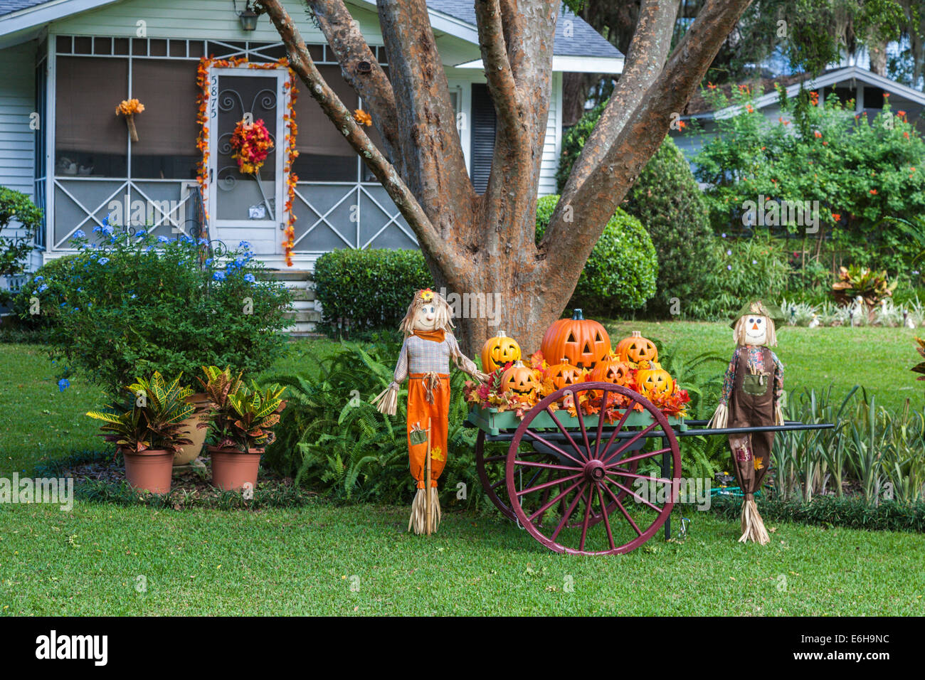 Fall scarecrow pumpkin display hi-res stock photography and images - Alamy