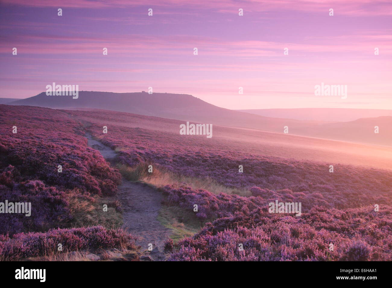 Hathersage Moor, Peak District. 24 August 2014. A burst of lilac dawn ...