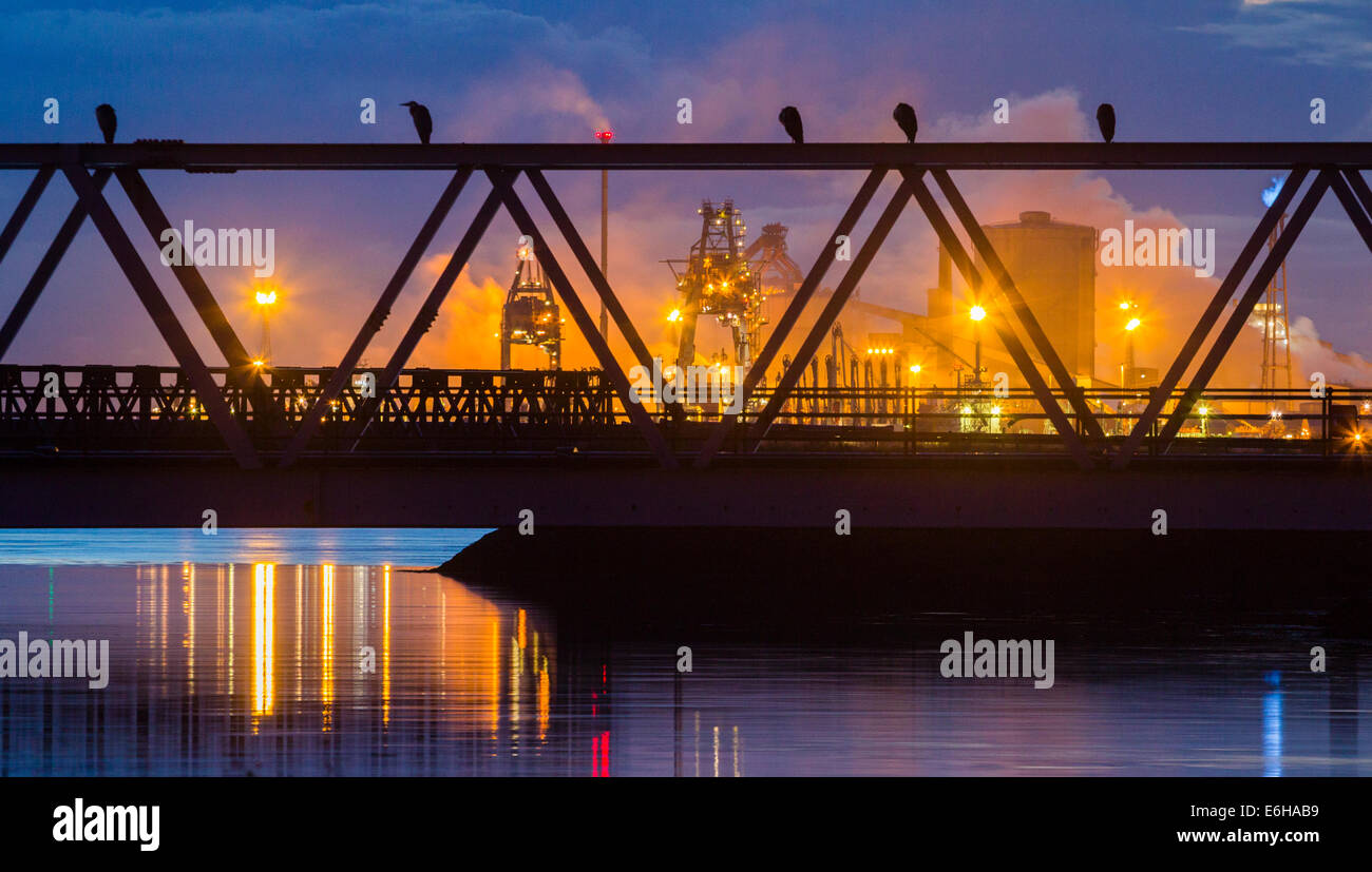 Teesmouth National Nature Reserve near Hartlepool, United Kingdom ...