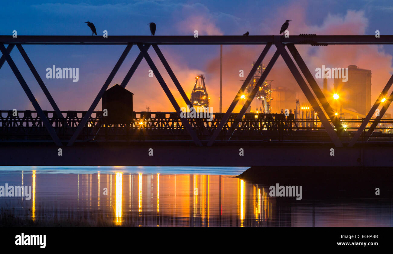 Teesmouth National Nature Reserve near Hartlepool, United Kingdom ...