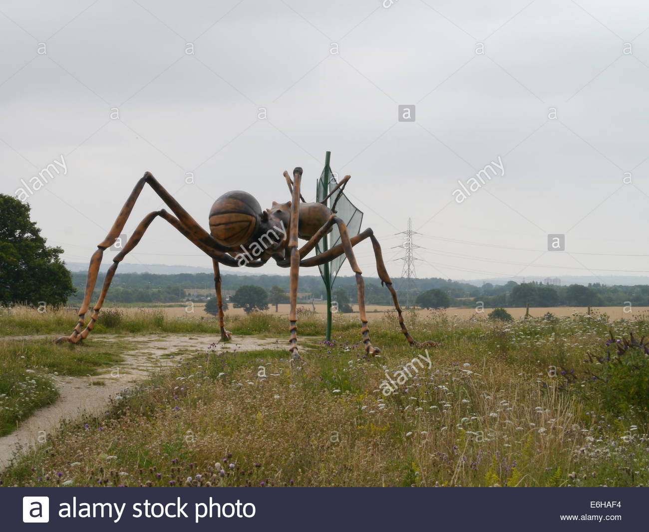 Giant Ants Stock Photos & Giant Ants Stock Images - Alamy