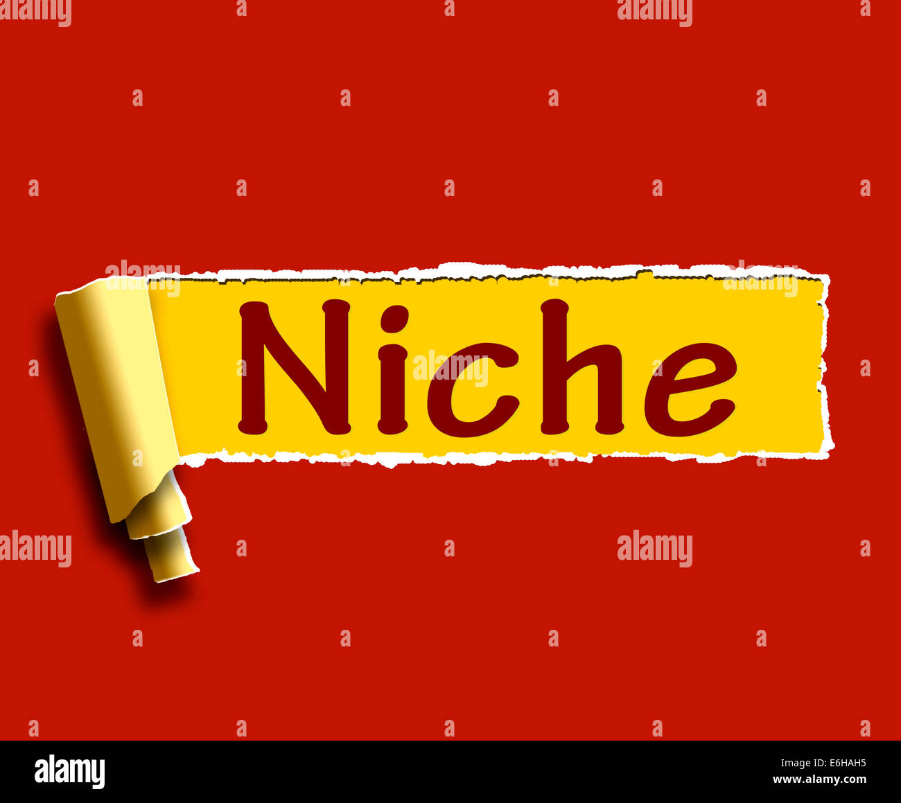 Niche Word Showing Web Opening Or Specialty Stock Photo - Alamy