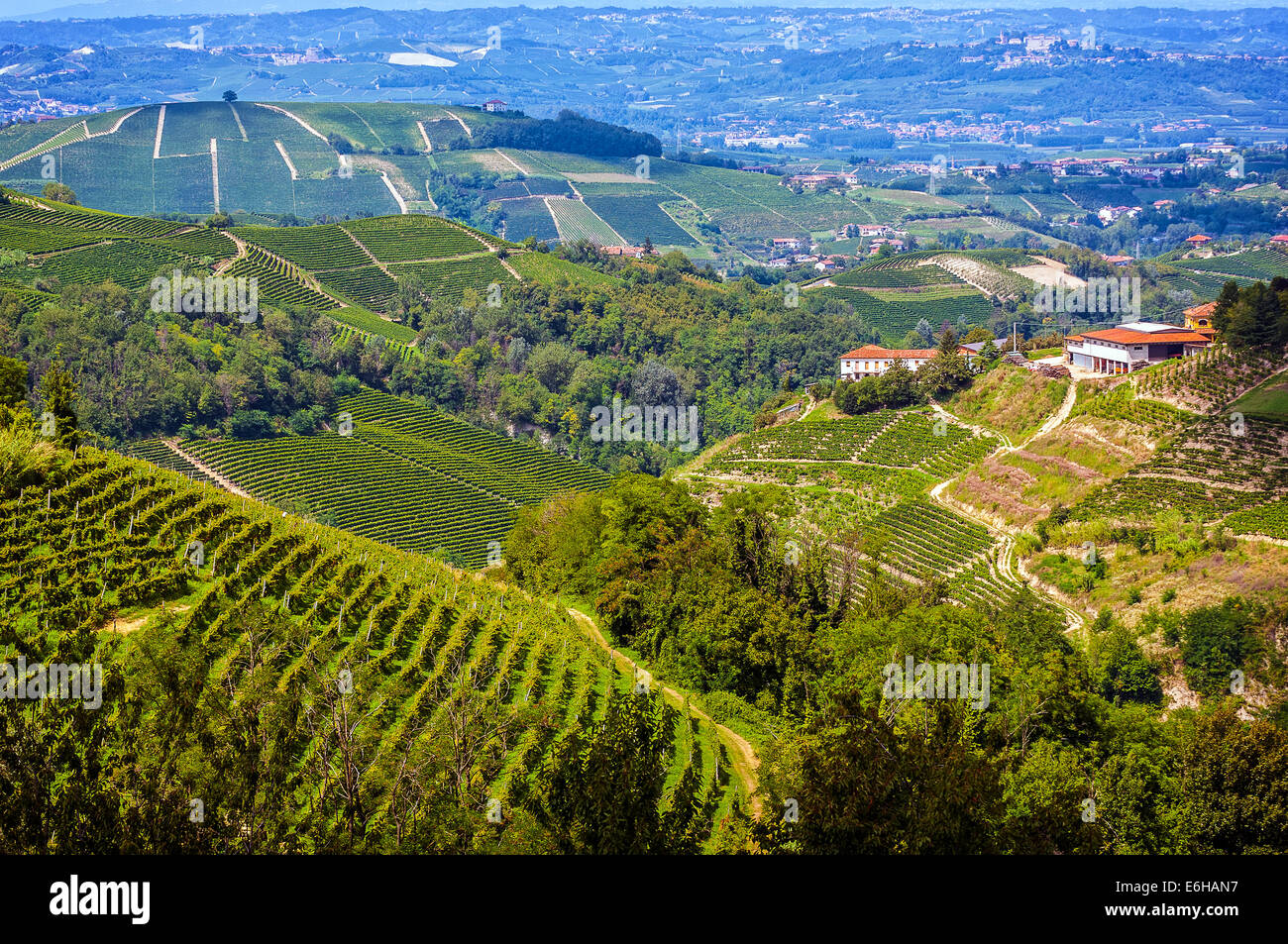 Italy Piedmont Langhe Mango Stock Photo - Alamy