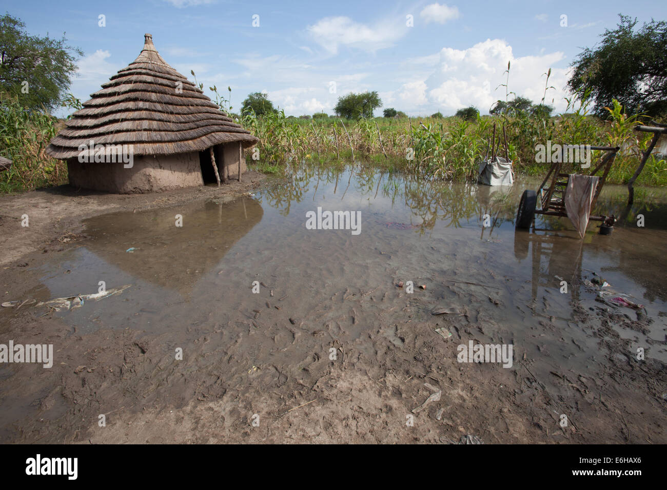 Agok hi-res stock photography and images - Alamy