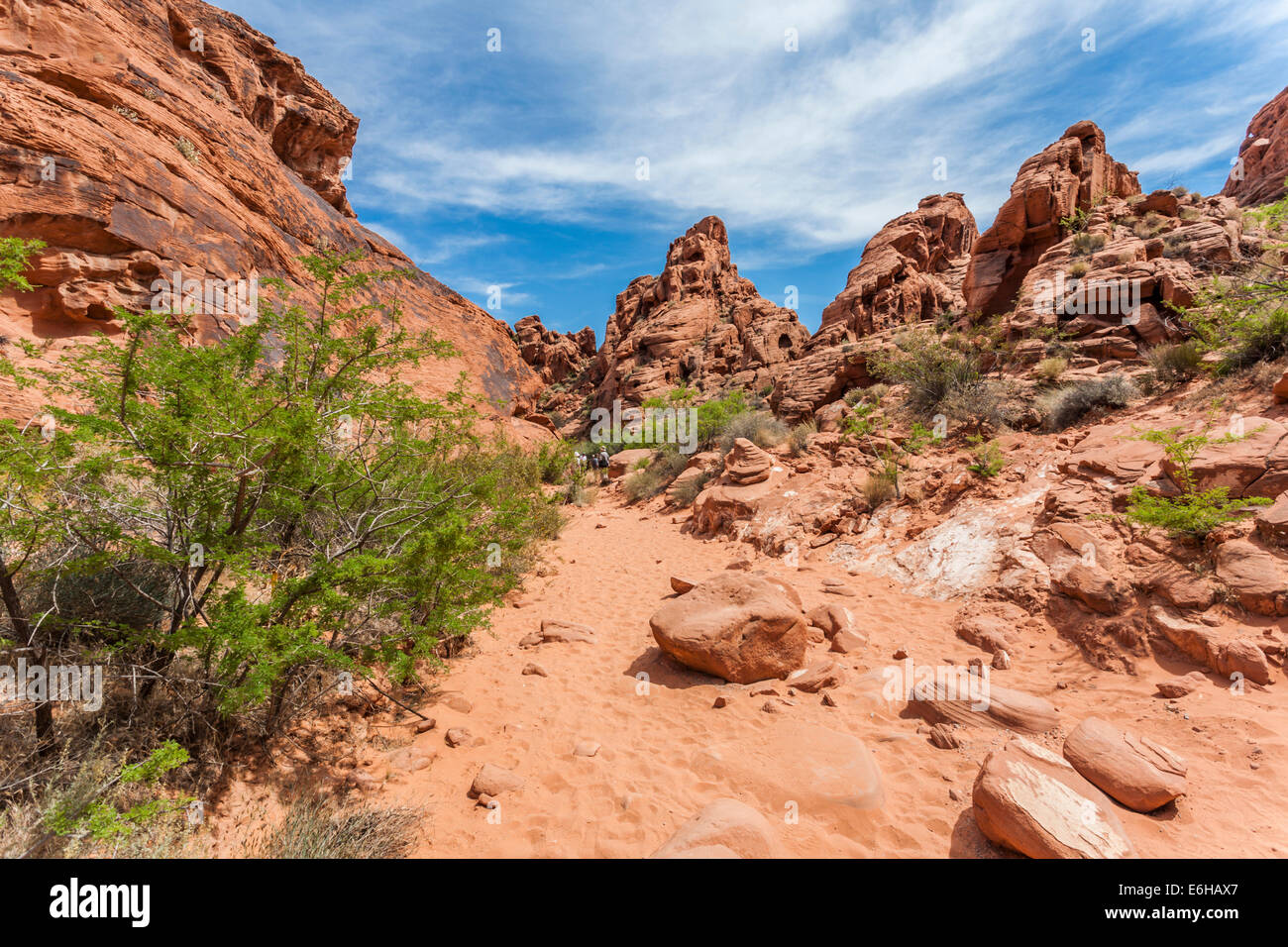 Rock formations and desert vegetation in Valley of Fire State Park near ...