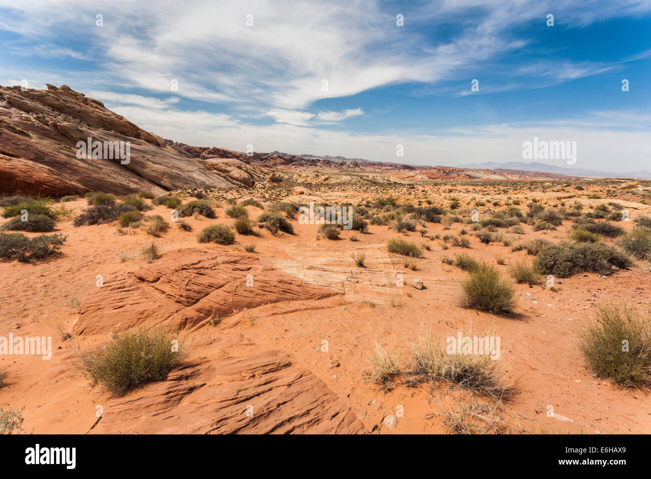 Desert rock formations vegetation hi-res stock photography and images ...