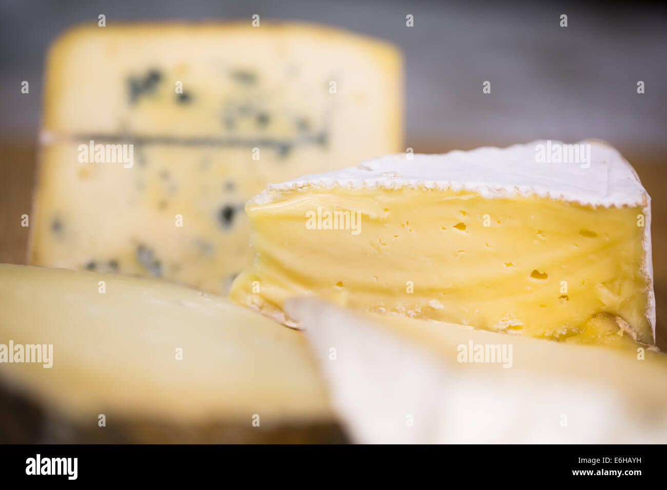 The perl hi-res stock photography and images - Alamy