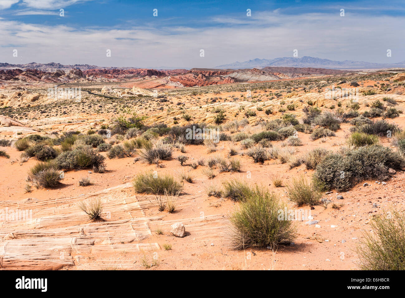 Rock formations and desert vegetation in Valley of Fire State Park near ...