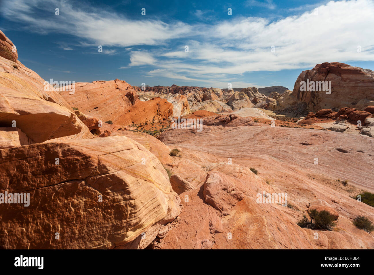 Rock formations and desert vegetation in Valley of Fire State Park near ...