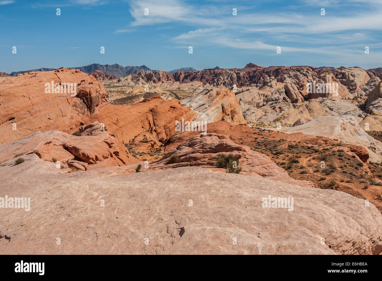 Desert rock formations vegetation hi-res stock photography and images ...