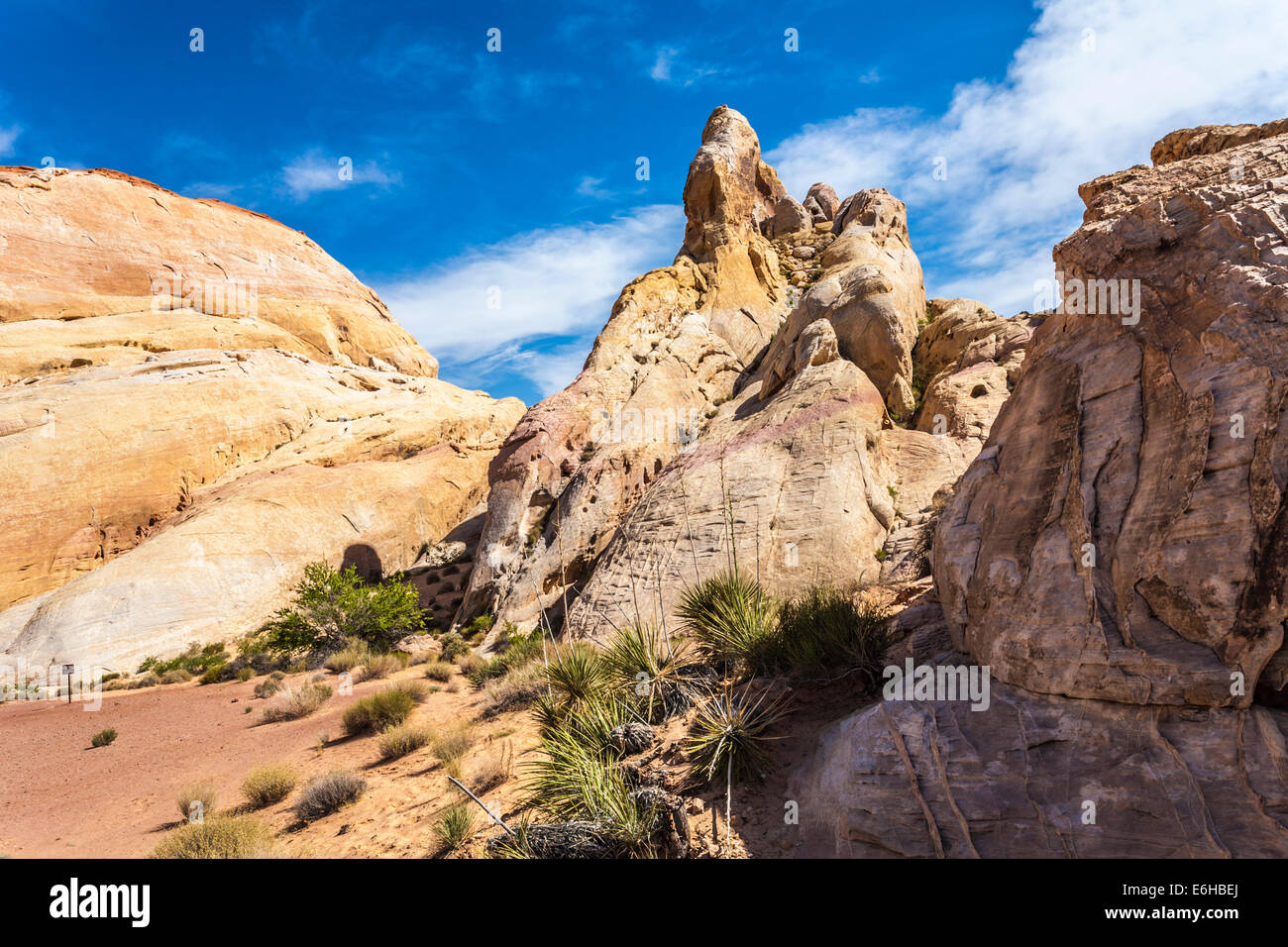 Rock formations and desert vegetation in Valley of Fire State Park near ...