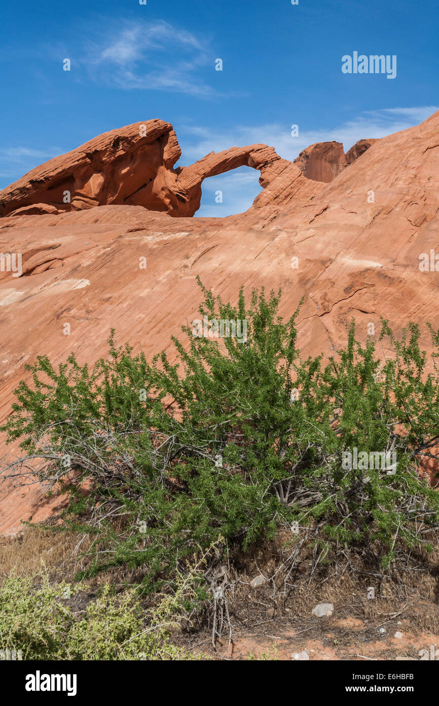 Natural Arch rock formation in Valley of Fire State Park near Overton ...