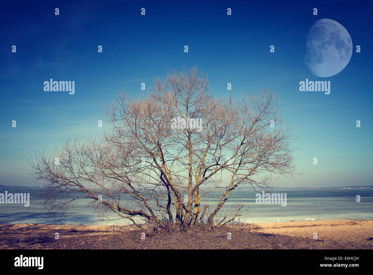 frozen river in spring Stock Photo - Alamy
