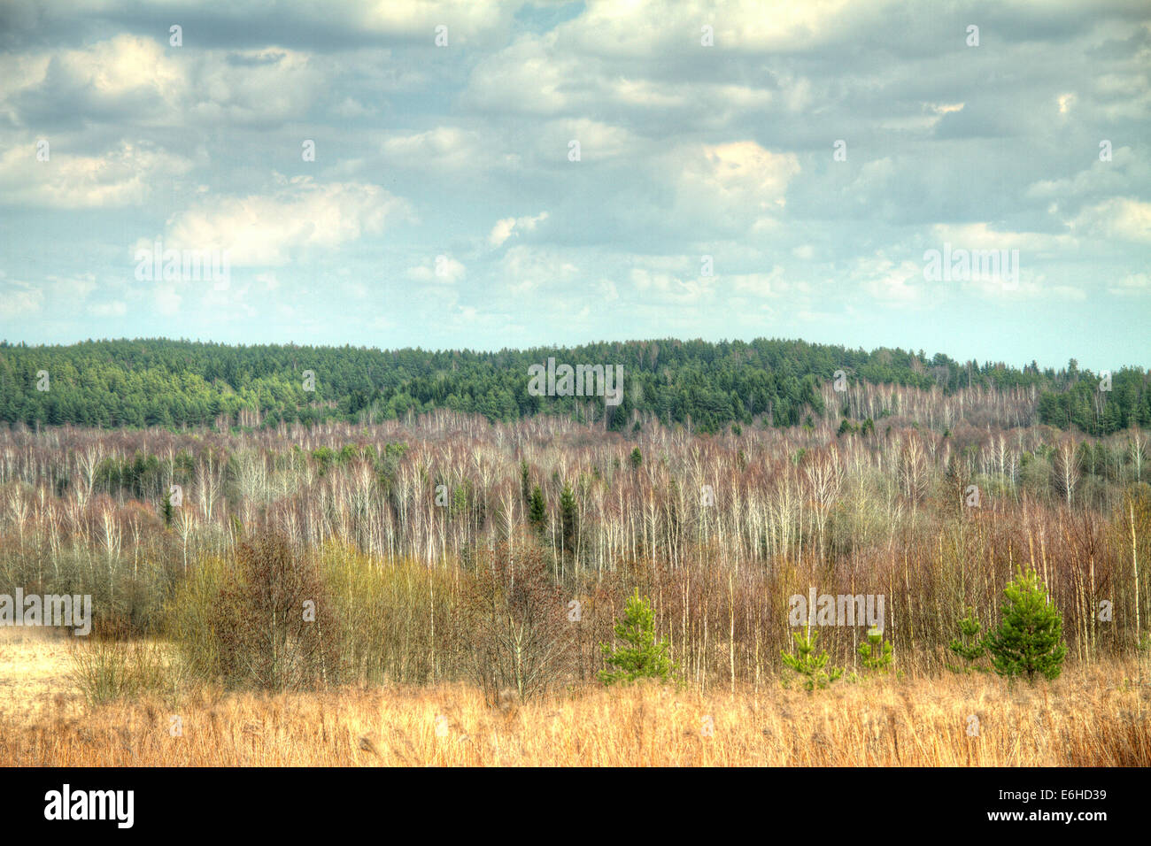 spring landscape HDR Stock Photo - Alamy